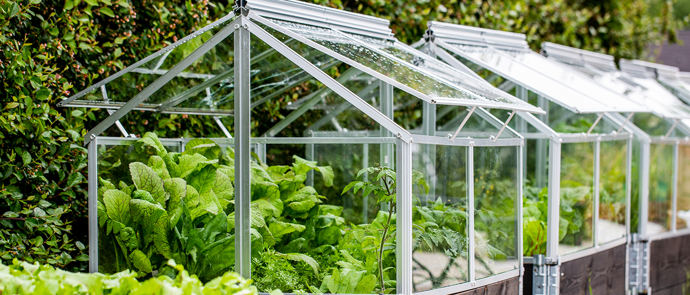 Amenajare Grădină De Legume | Peisage